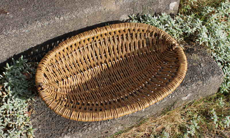 Sarah Hatton - Hatton Willow - The Basketmakers' Association