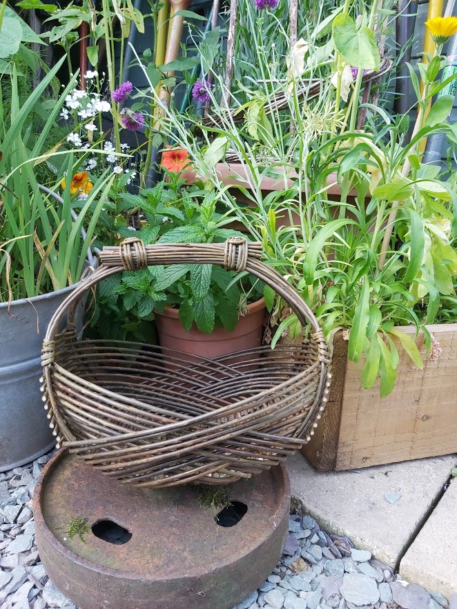 Alisha Davidson - Mortimer Willow - The Basketmakers' Association