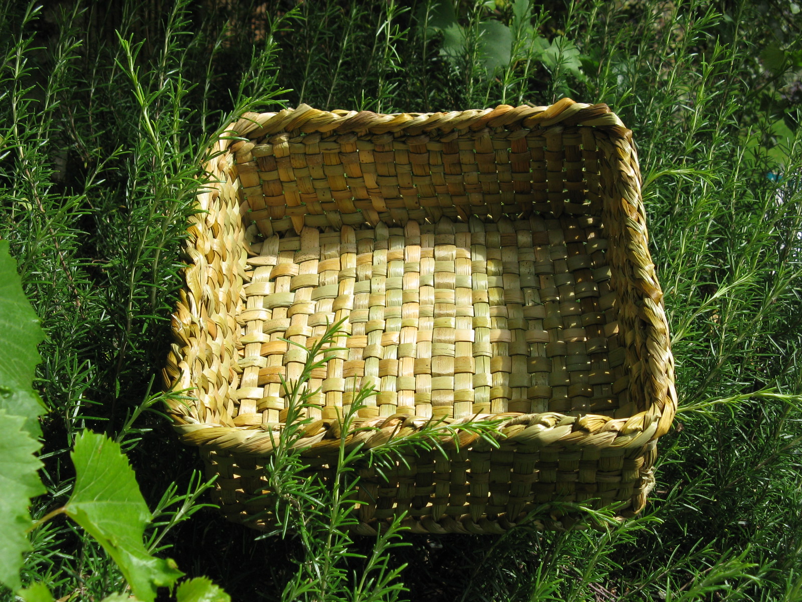 Sally Roach - The Basketmakers' Association