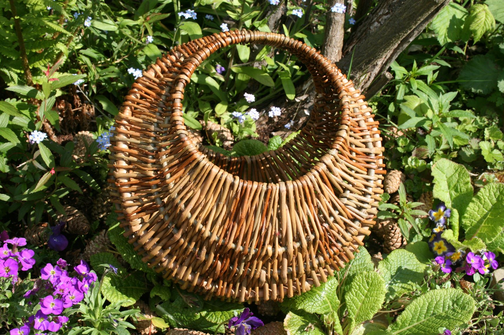 Chris Baxter - The Basketmakers' Association