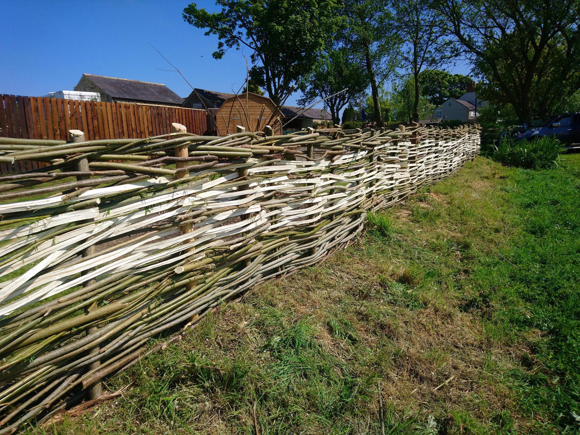 Ruth Thompson - The Basketmakers' Association