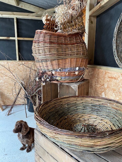 Angela Firth - Bojorrow Baskets - The Basketmakers' Association