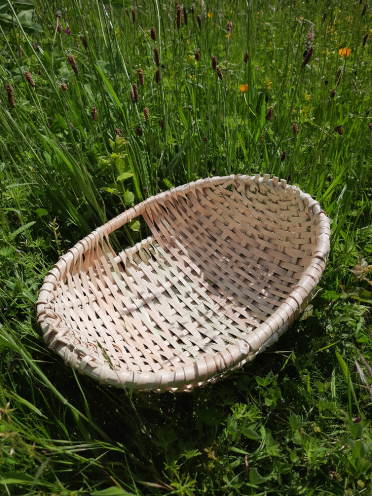 BA Spring School 2024: Split hazel 'Wisket' or 'Whisket' - The ...