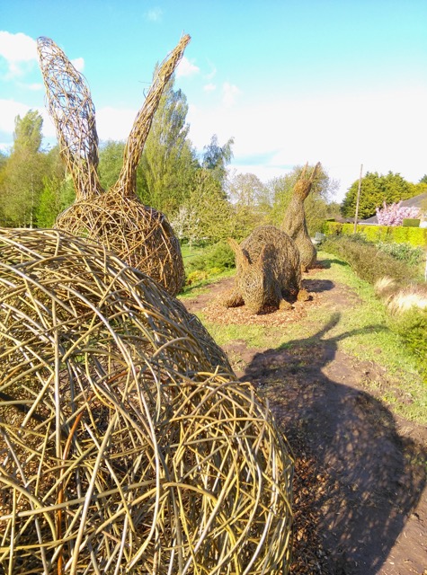 Alison Walling - The Basketmakers' Association