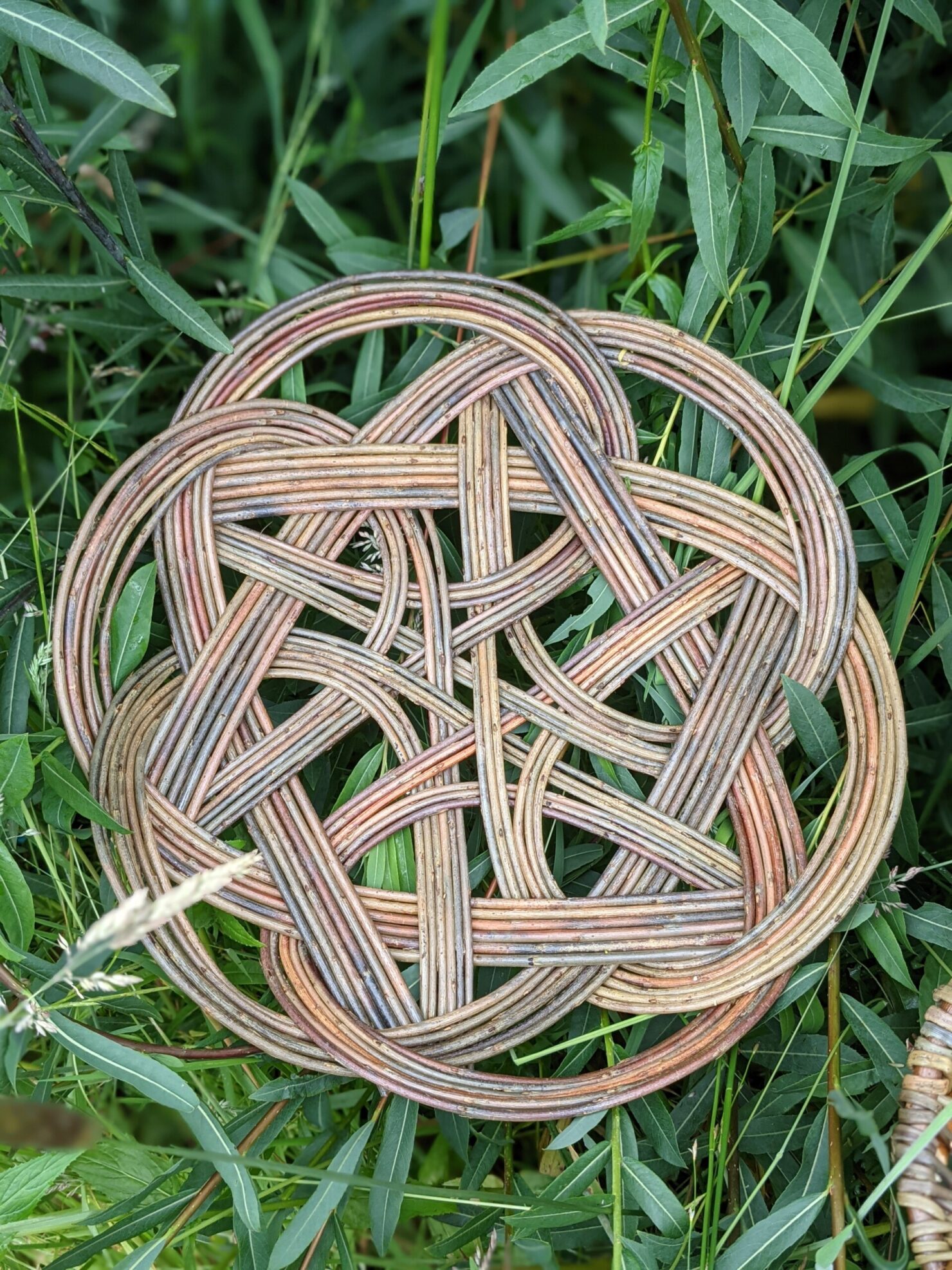 Exploring Celtic Knot Baskets with Clare Revera - The Basketmakers ...