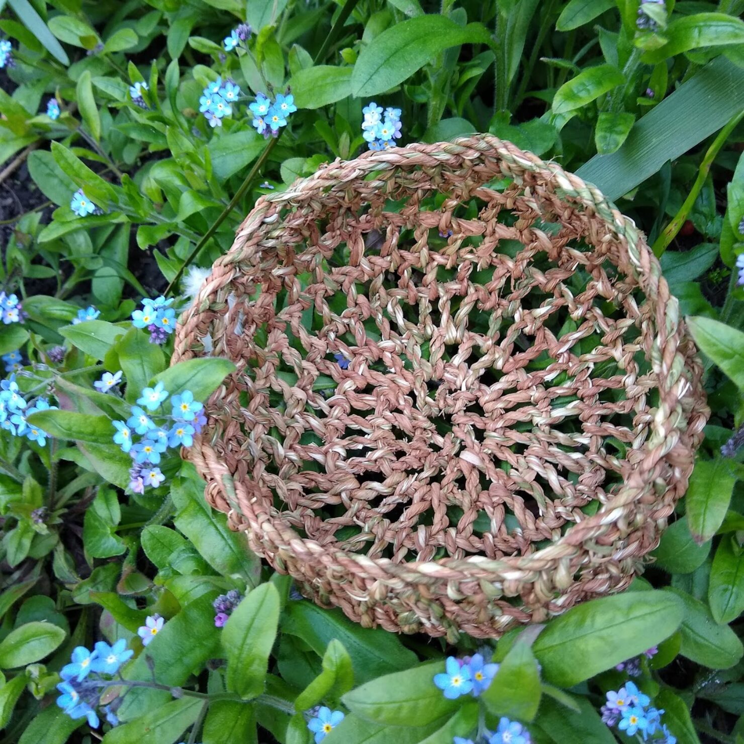 Creative basketry: looping - The Basketmakers' Association