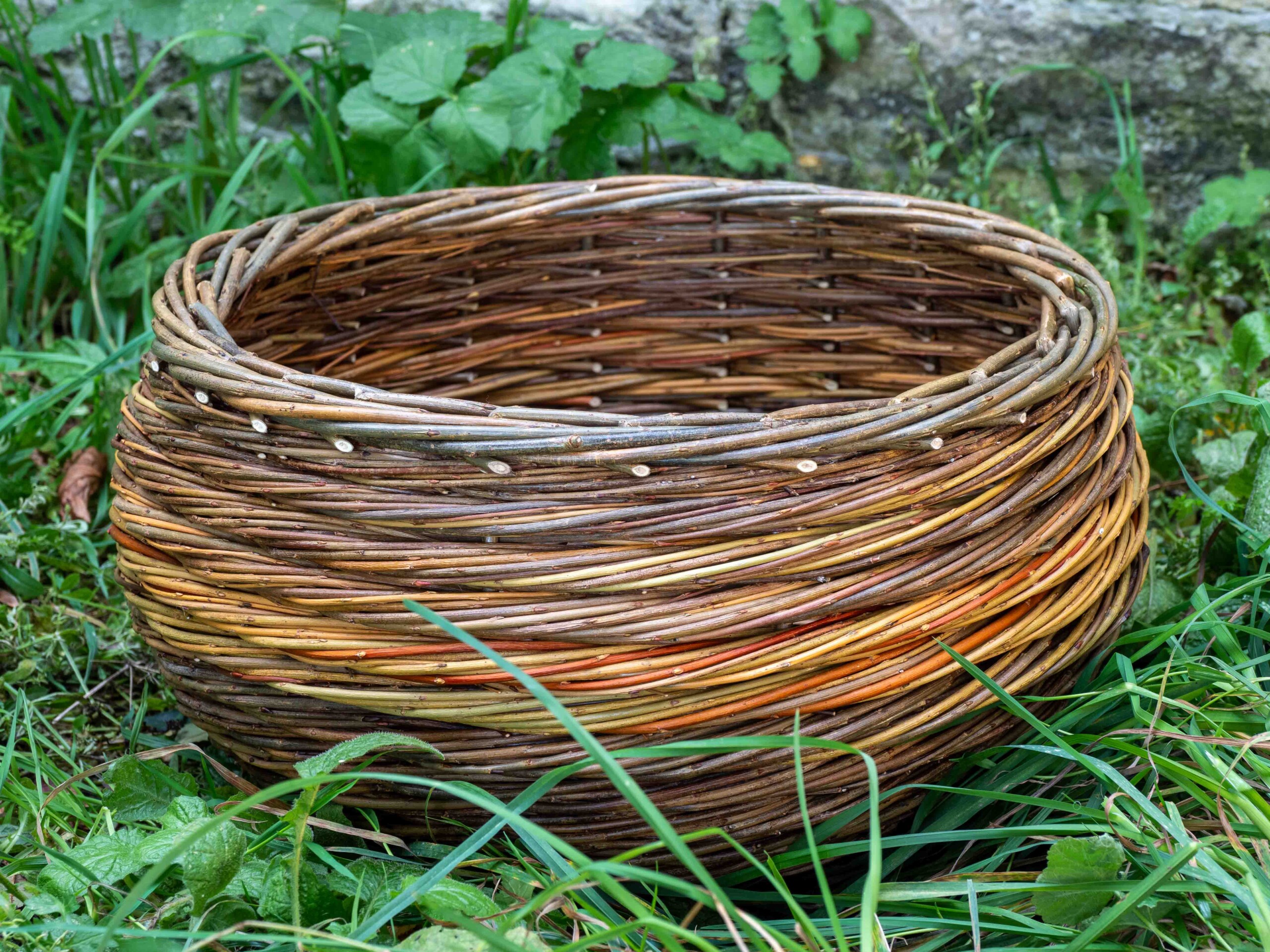 Sarah Woodrow - The Basketmakers' Association