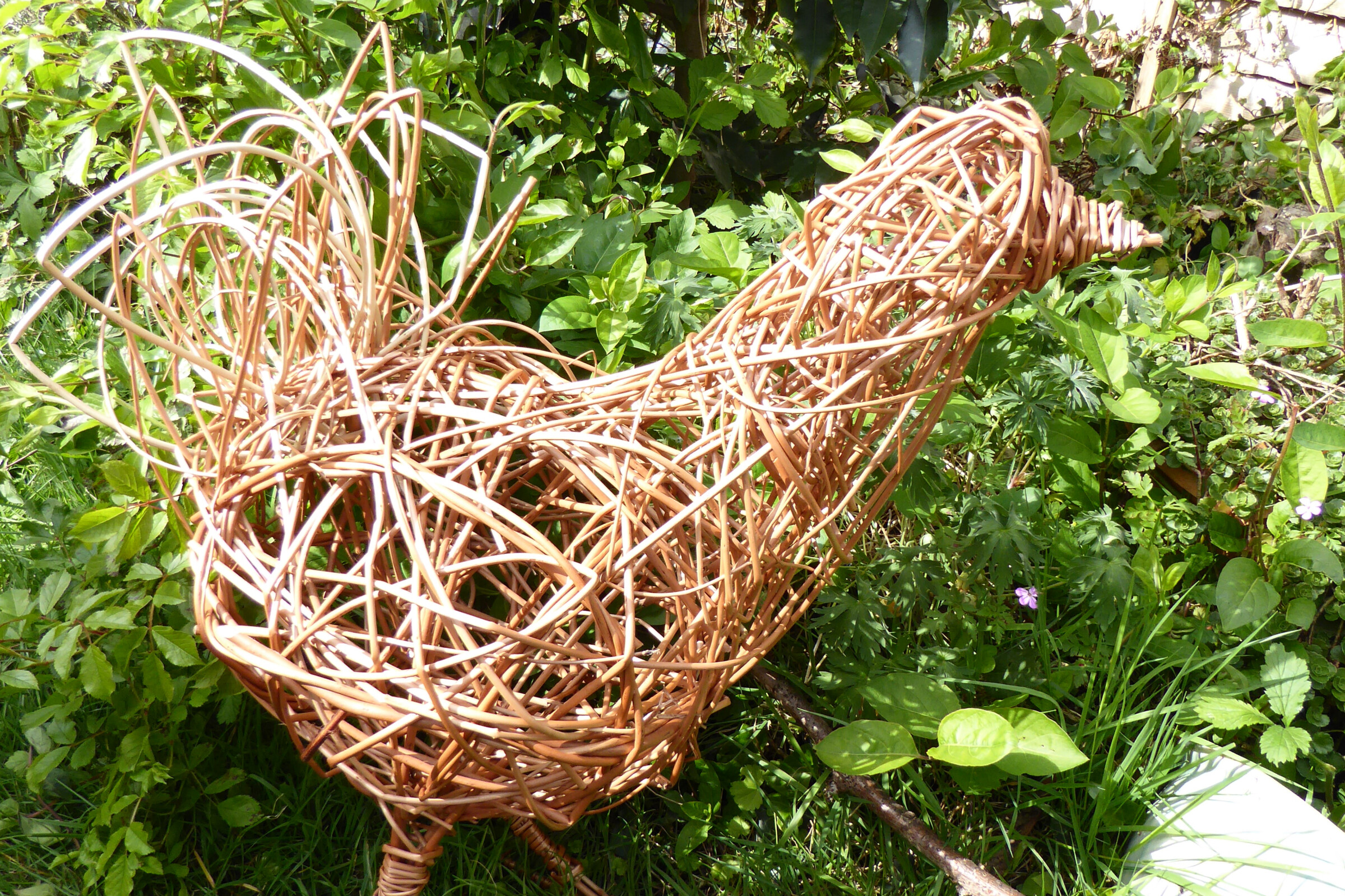 Willow chicken workshop - The Basketmakers' Association