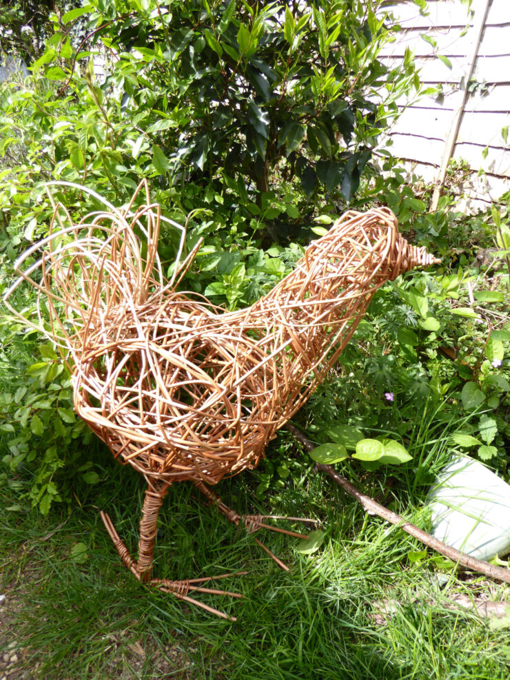 Willow chicken workshop - The Basketmakers' Association