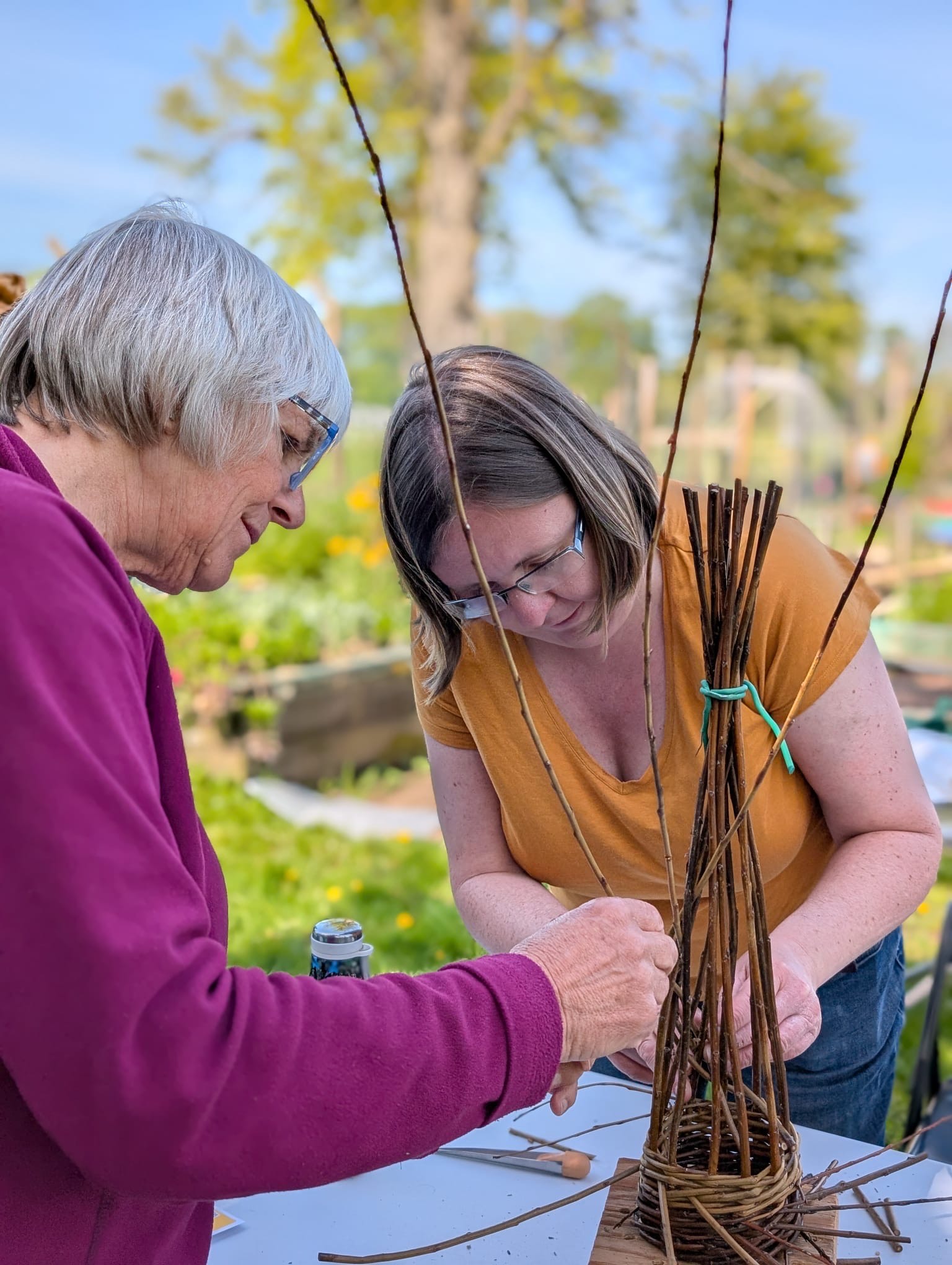 Jo Sullivan - Willow With Jo - The Basketmakers' Association