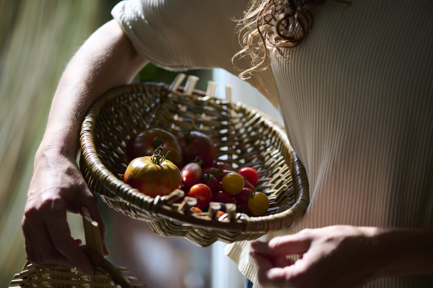 Willow Frame Basket Workshop - The Basketmakers' Association